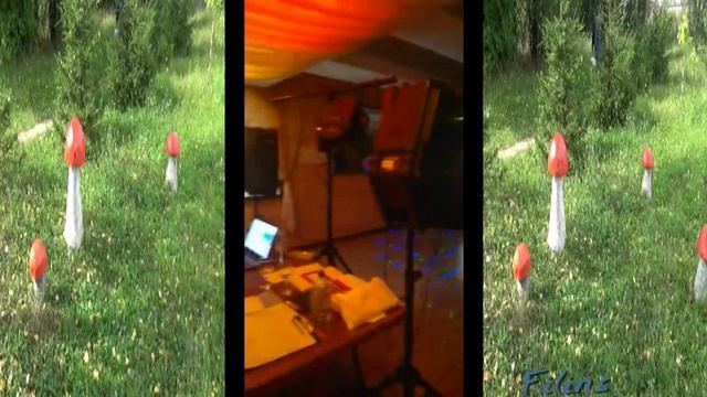 Песня и танцы в ресторане