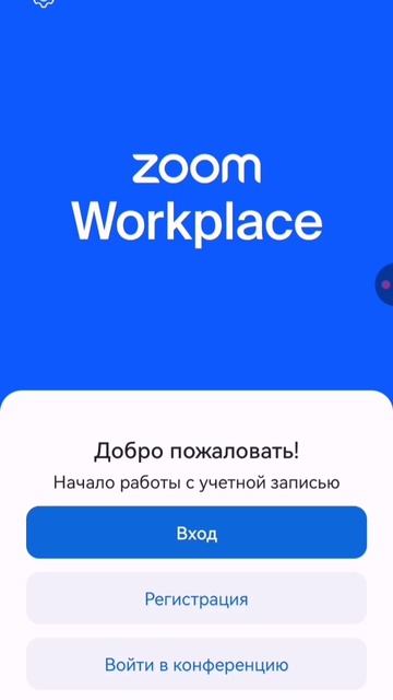 Как поменять имя в профиле Zoom на мобильном