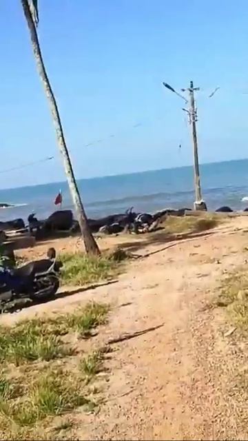 Индия, ГОА, Вагатор