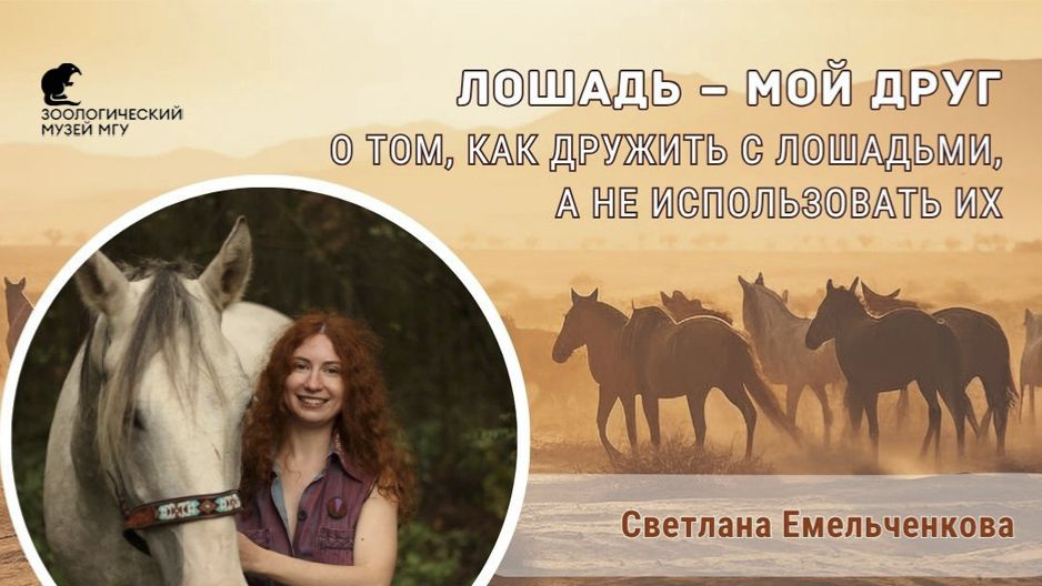 С. Емельченкова «Лошадь - мой друг. О том, как дружить с лошадьми, а не использовать их»