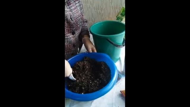 Подготовка почвы для укорененных черенков винограда. Марценюк Надежда