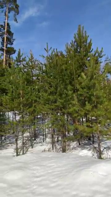 Весна пришла! Март!