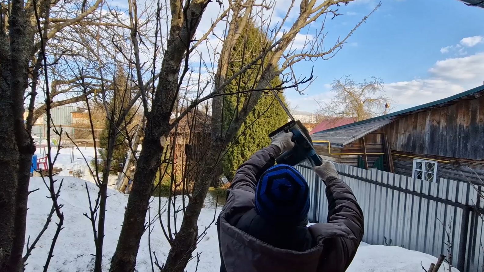 Пока снег не сошёл обрезаем яблони. Первые весенние дела по саду.