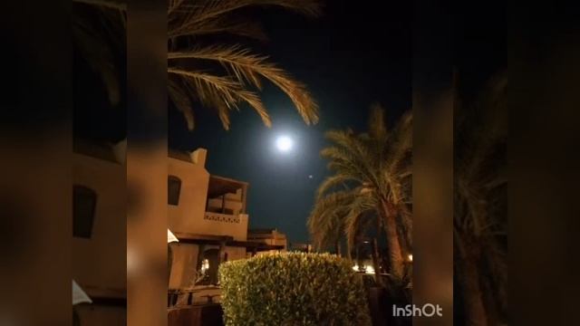 LOBODA "MoLoko" Юлия Яблочникова