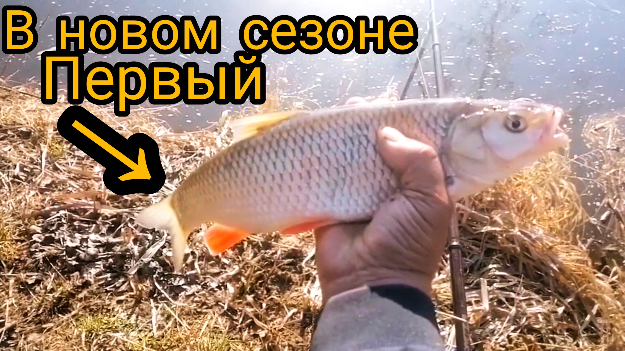 Открытие поплавочного сезона на реке 2025г..