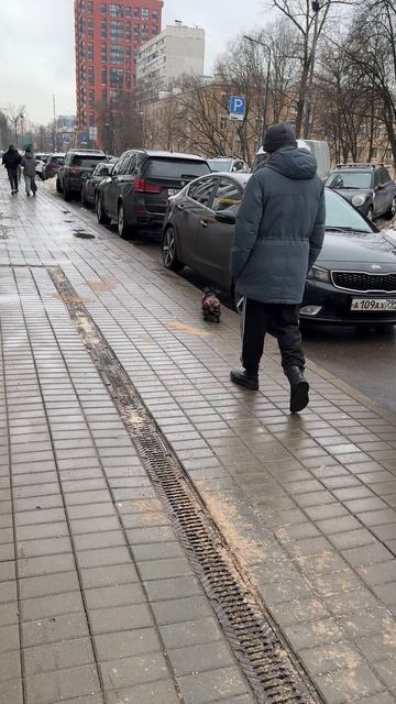 Ванька-встанька