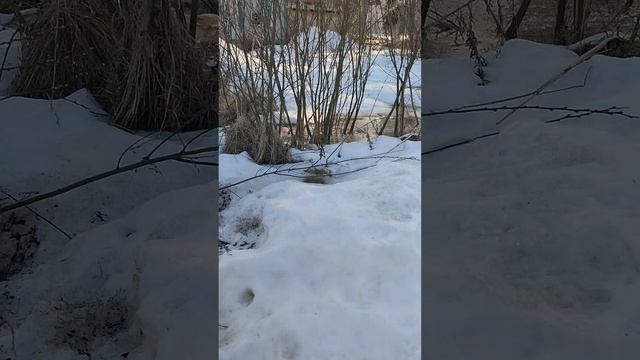 2) г.о.ИСТРА, д.Еремеево, 25.03.2026