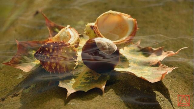 БЛАЖЕННАГО АВВЫ ЗОСИМЫ СОБЕСЕДОВАНИЯ ч2