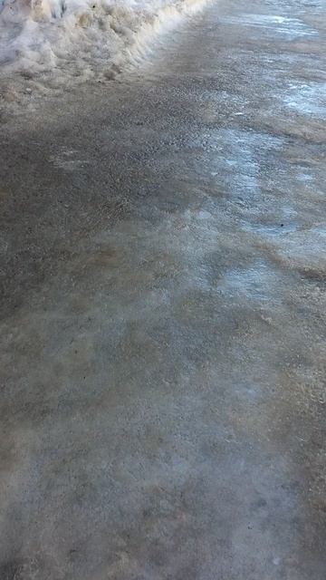 №1872 ул. Полины Осипенко. 24 марта 2026 г., 14:45:46 VID_20260324_144356484