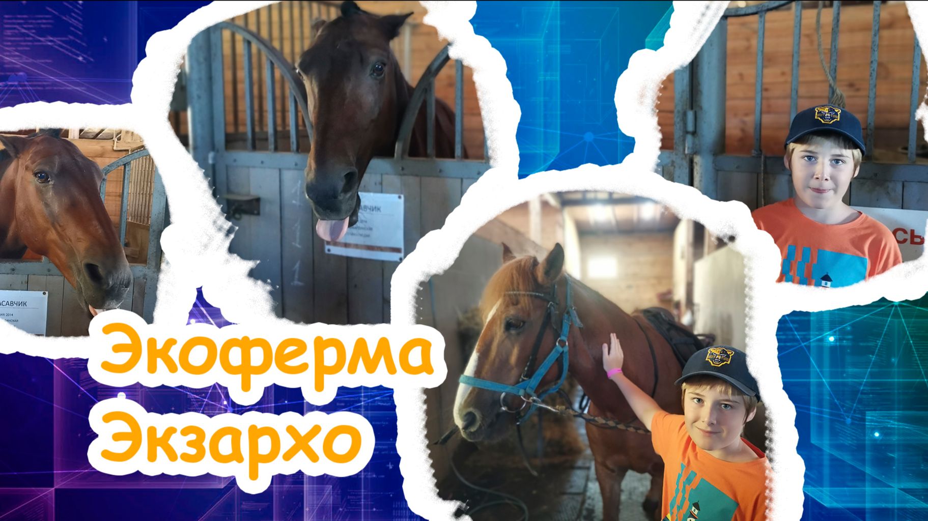 Экоферма Экзархо