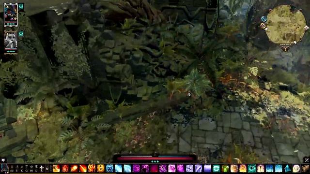 Divinity: Original Sin 2 - (Часть 21) КООП