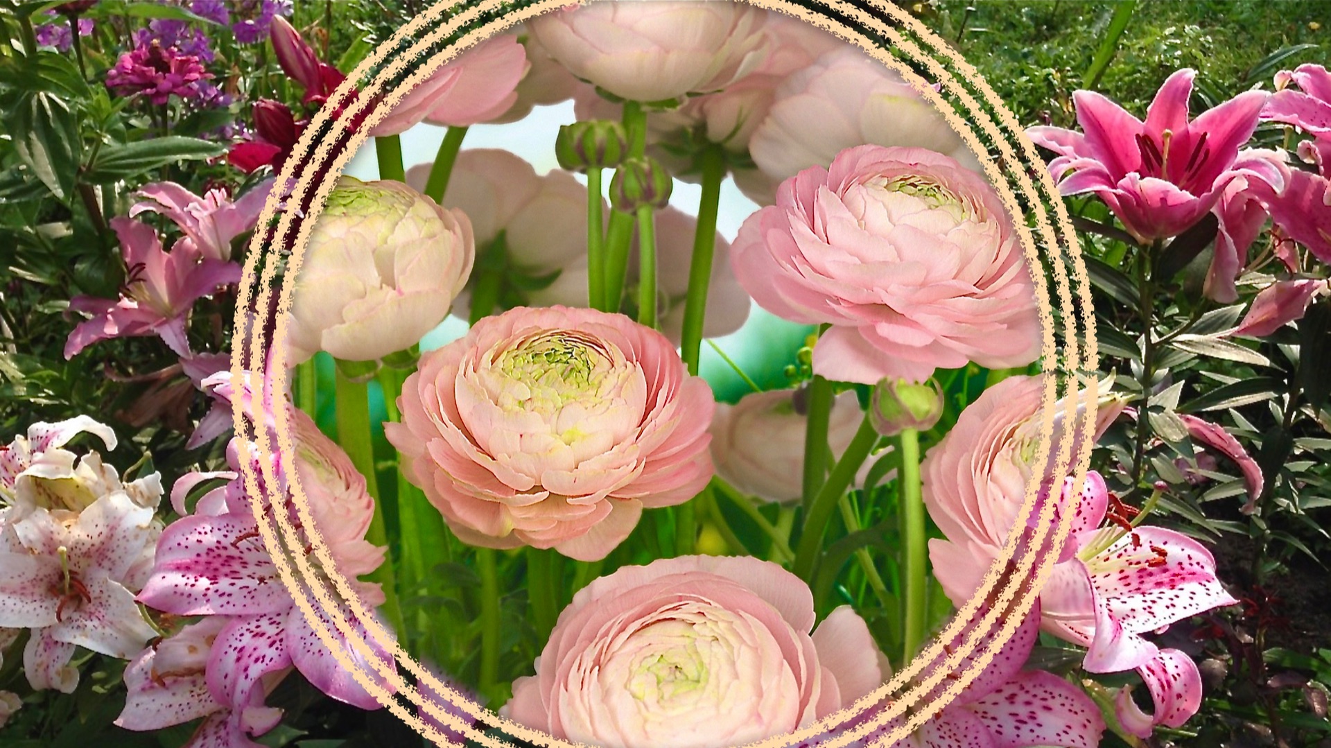 Луковичные и клубневые растения весенней посадки.