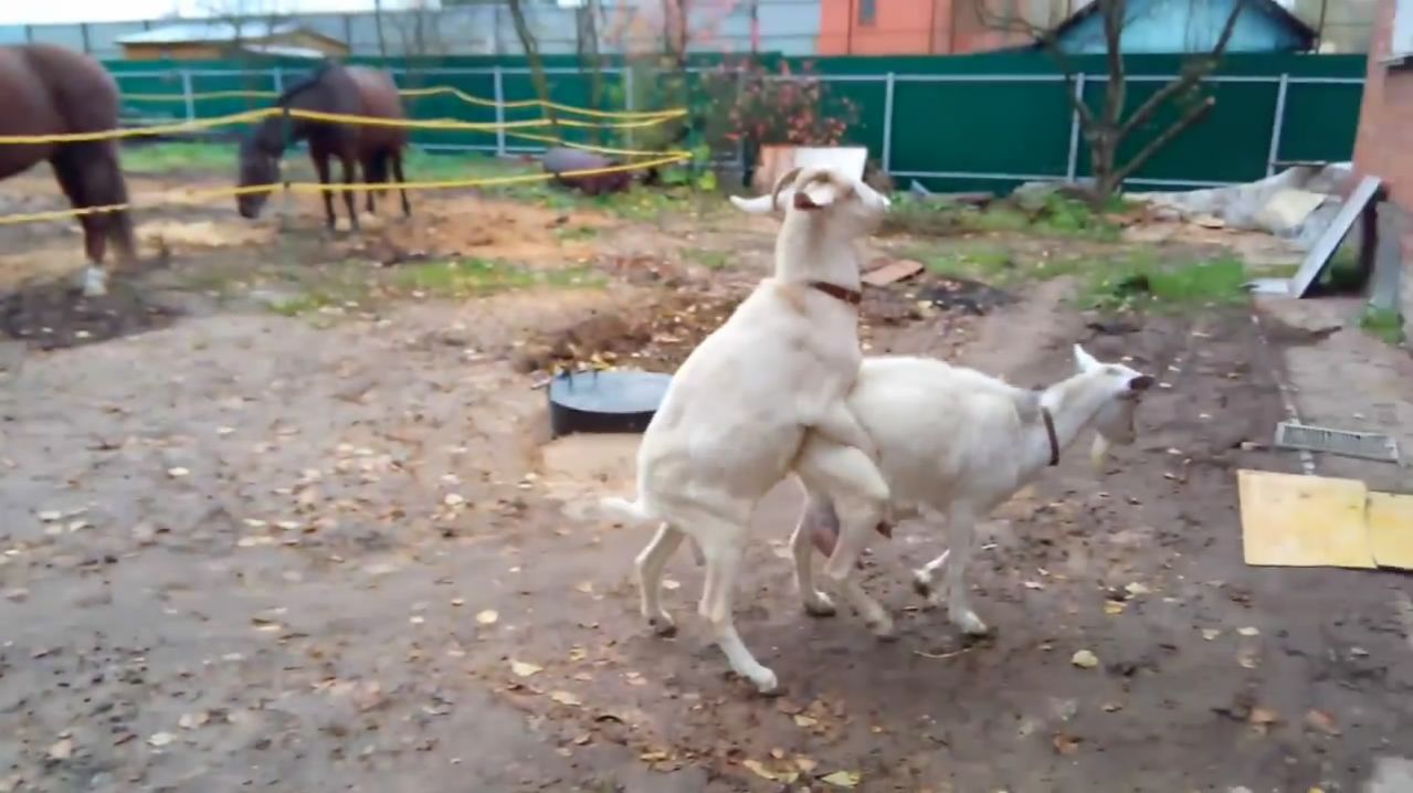 Весеннее настроение