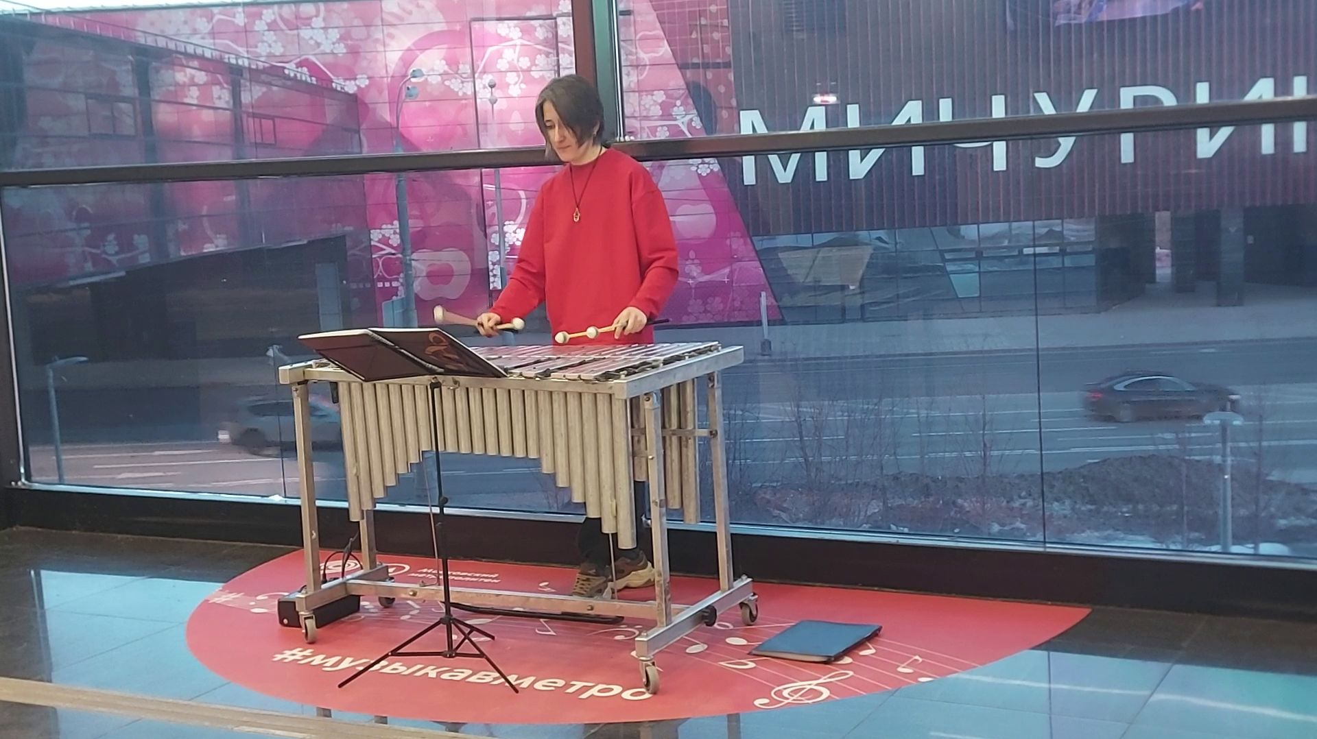 Волшебное выступление на виброфоне в метро (22.03.26)