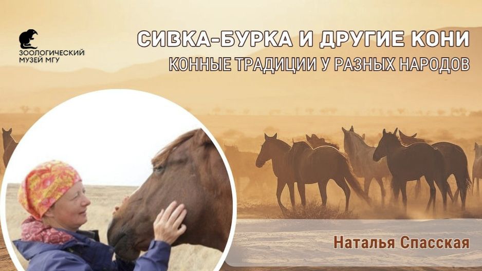 Н.Н. Спасская «Сивка-Бурка и другие кони. Конные традиции у разных народов»