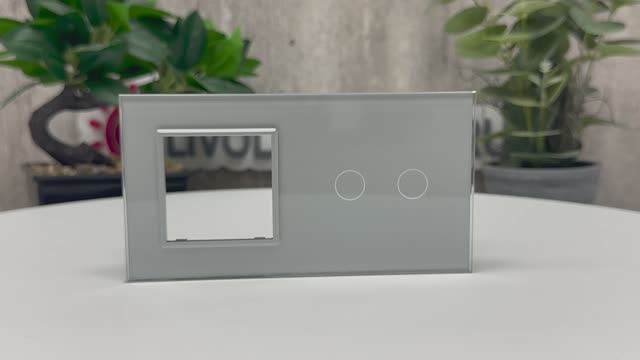 Панель для розетки и сенсорного выключателя Livolo, цвет серебристый, BB-C7-SR/C2-20
