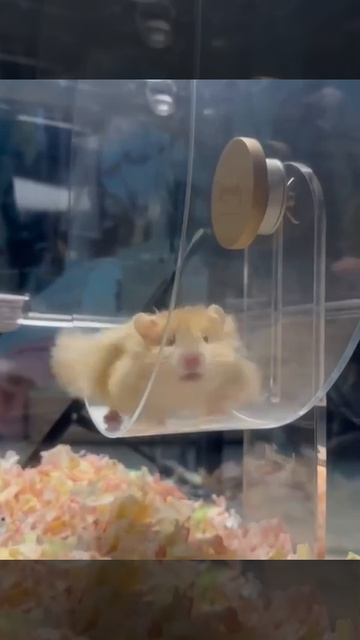 Готовимся к лету