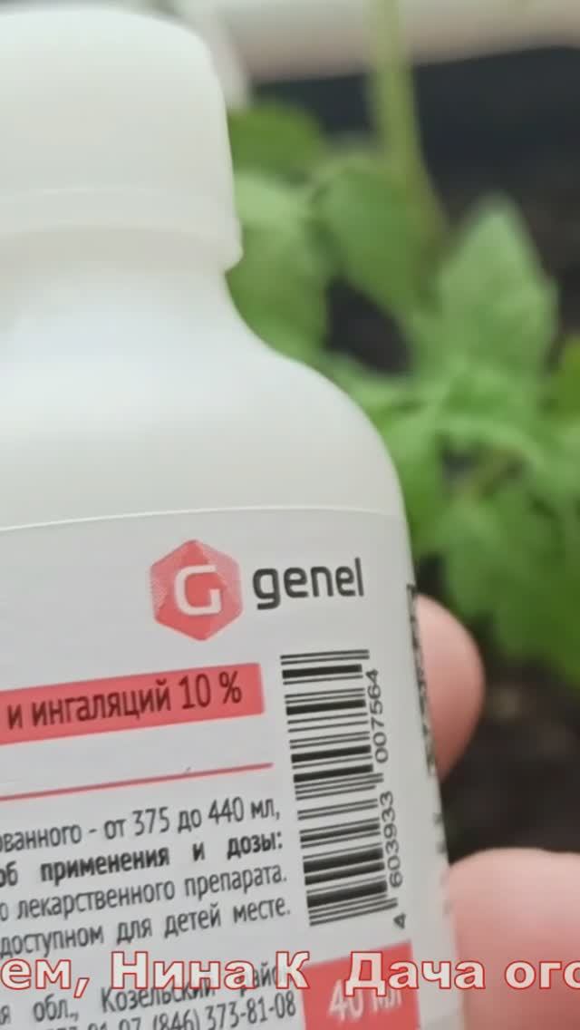 Кормлю  рассаду Нашатырный Спирт для подкормки рассады #рассада #огород #подкормка #выращивание