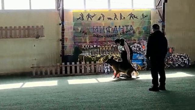 Уд МАГИЯ с Глиняной Горки - №55. БРОННИЦЫ 14 марта`26 Моно немецких овчарок