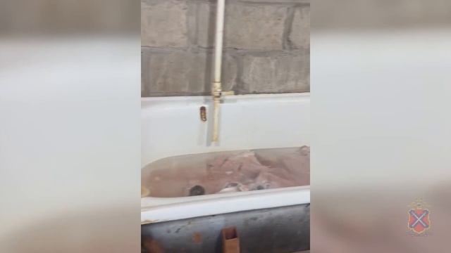 Хроника происшествий за 24 марта  2026 года