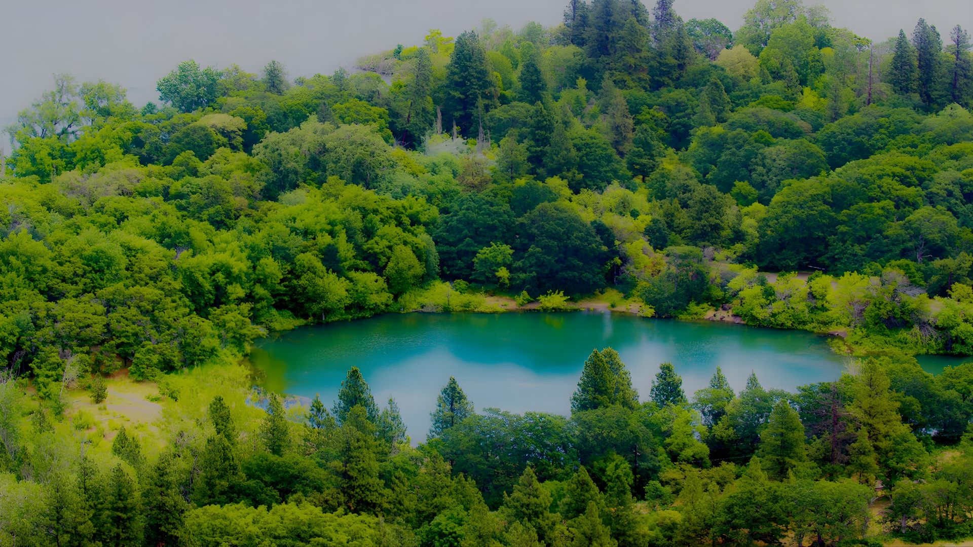 Спокойная атмосфера озера | Звуки природы | Птицы и ветер.