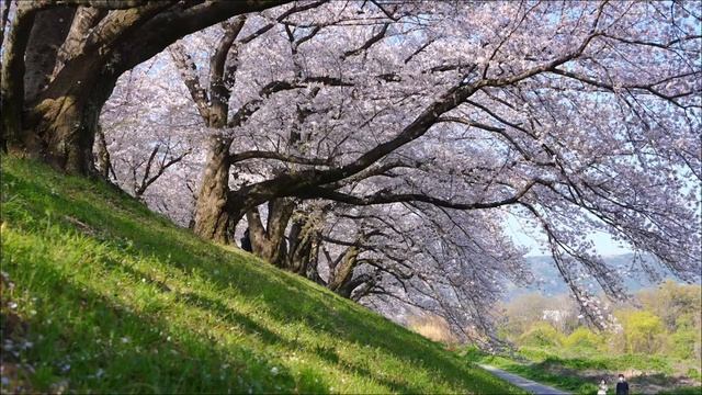 Роковая минута 28 марта. Что нужно успеть_