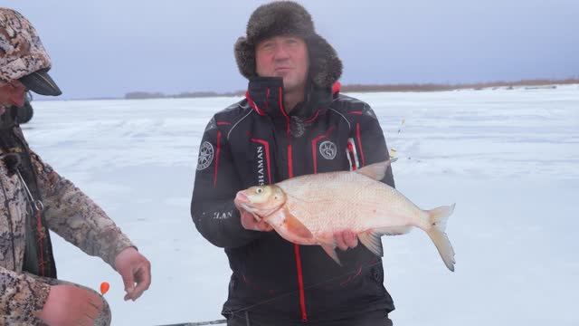 "НАРОДНЫЙ ПРОЕКТ СИБИРЬ" Лещ на комбайн.