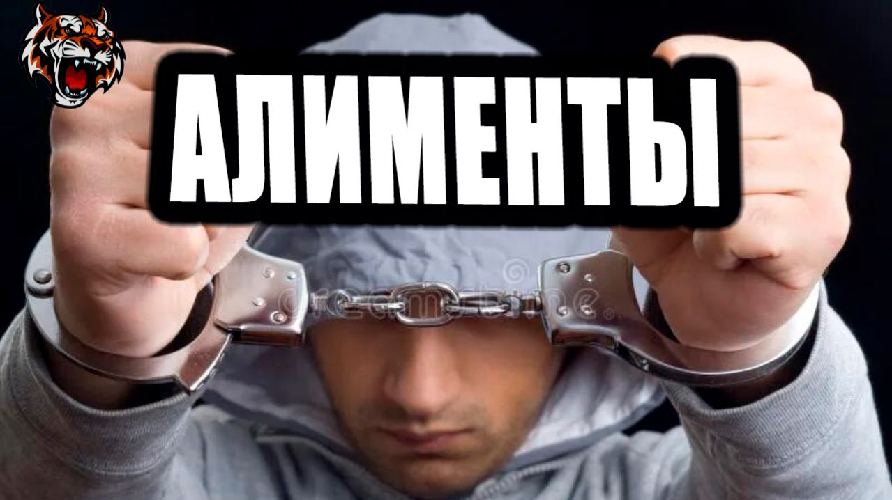 Почему  мужчины ненавидят алименты