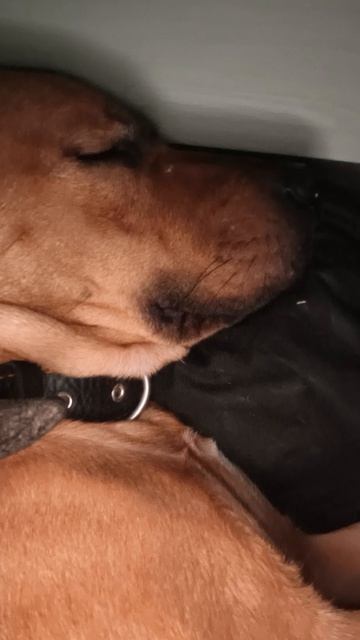 Здоровый сон ребёнка