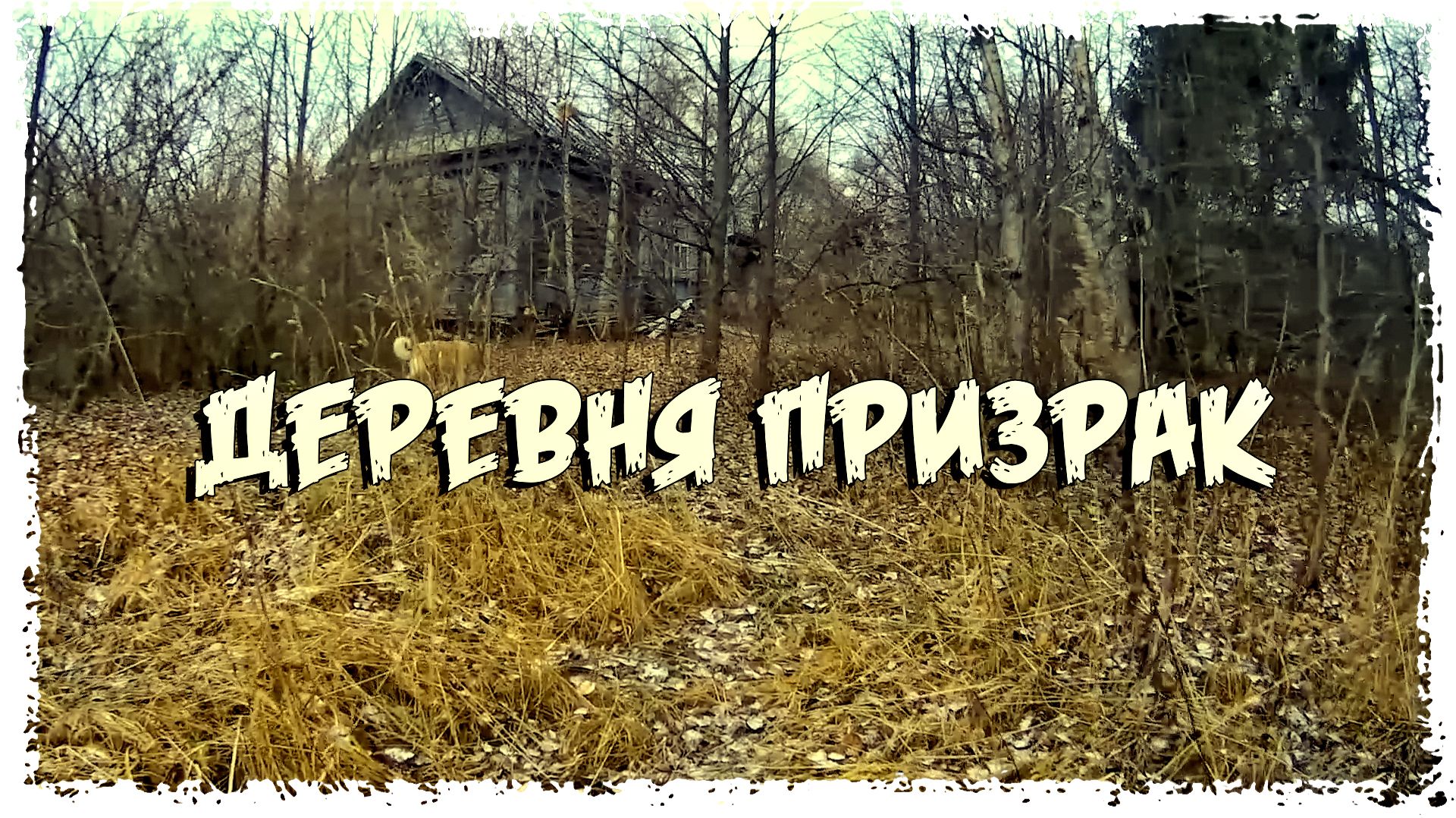 ПОИСКИ КЛАДОВ "ДЕРЕВНЯ ПРИЗРАК"