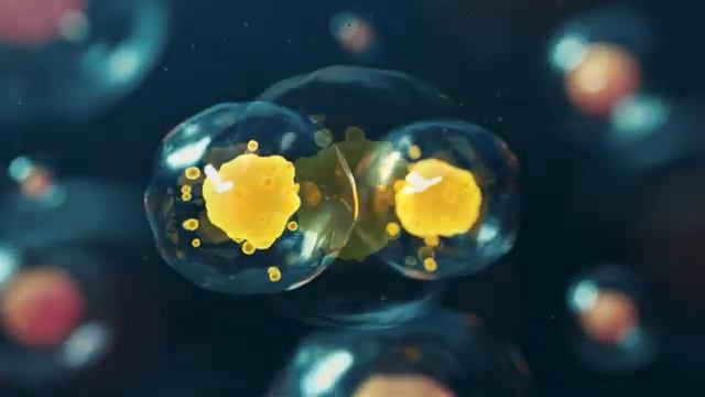 МАТРИЦА ГАРЯЕВА. Клеточное омоложение. Источник видео: канал Soft_Radio  на YouTube.