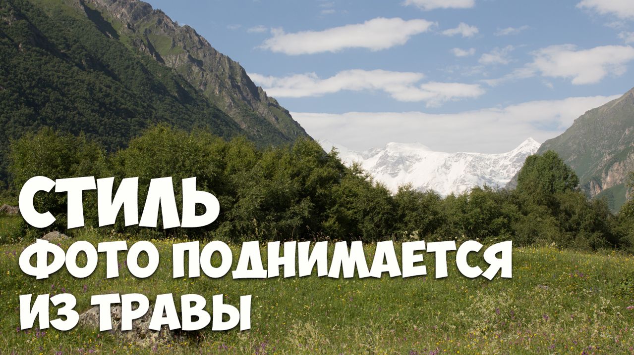 Фото поднимается из травы