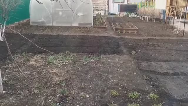 Вечерние огородные заботы 20.04.23 садогород огородник дачница