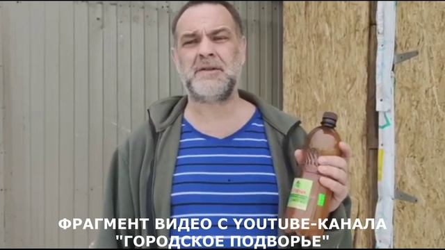 ГОРОДСКОЕ ПОДВОРЬЕ - ДЕВОЧЕК БОЛЬШЕ ЧЕМ МАЛЬЧИКОВ