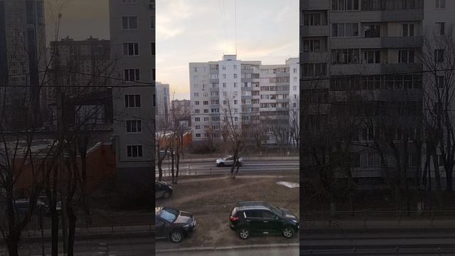 Сила Птаха. Полная версия.