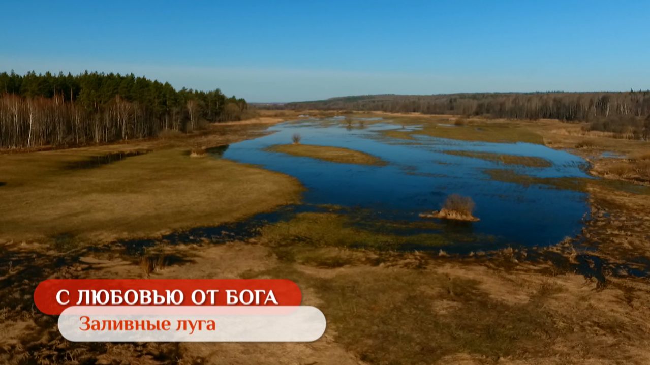 Заливные луга | С любовью от Бога