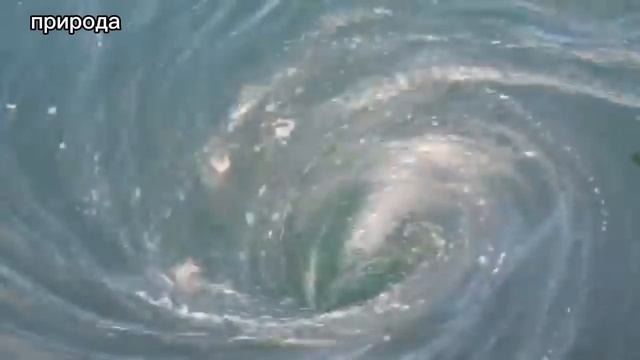 УНИКАЛЬНОЕ ВИДЕО. ВОРОНКА