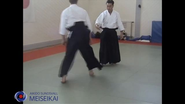 5.Aikido Ushirowaza Iriminage Shishiya Sensei Sandviken 2007
