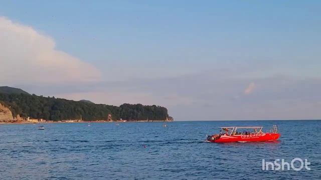 Новомихайловский/Торнадо фотосессия с маленькой моделью🫶(архив) лето 2024