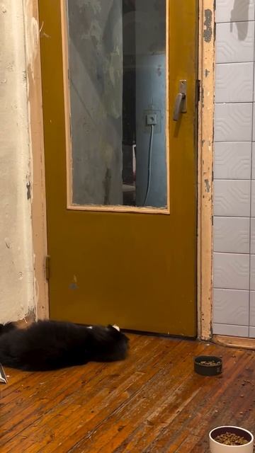 Ты не пройдёшь!