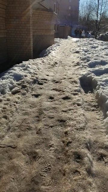 №1890 ул. Красноармейская 1-я. 24 марта 2026 г., 17:17:29 VID_20260324_171606225