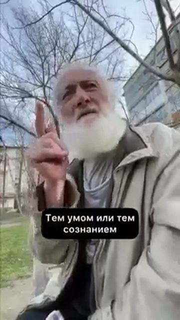 Что думаете?