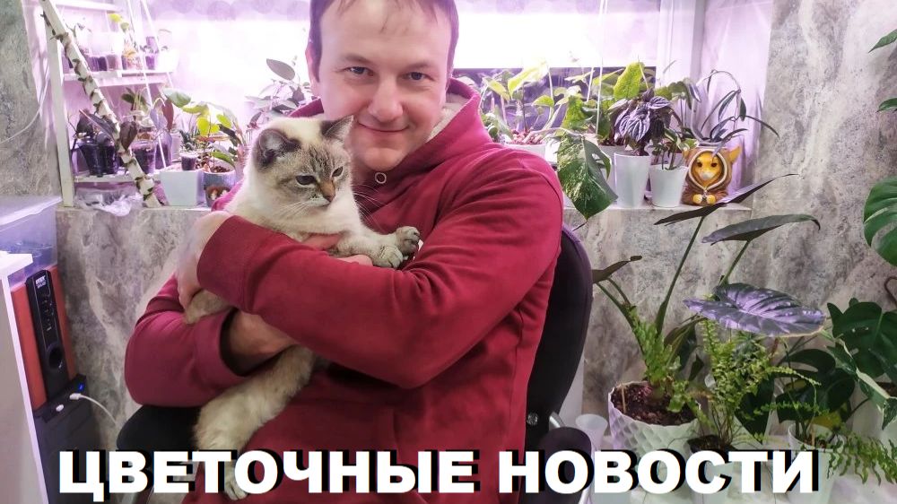 Цветочные новости: март