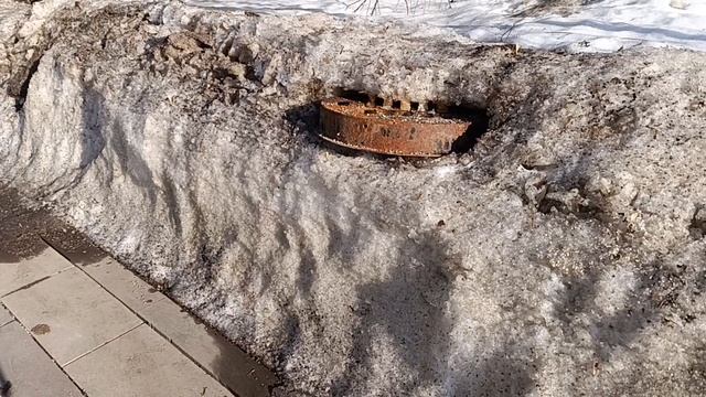 сюрприз в сугробе, не могла пройти мимо