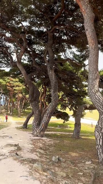 Национальный парк в Кёнджу в Корее