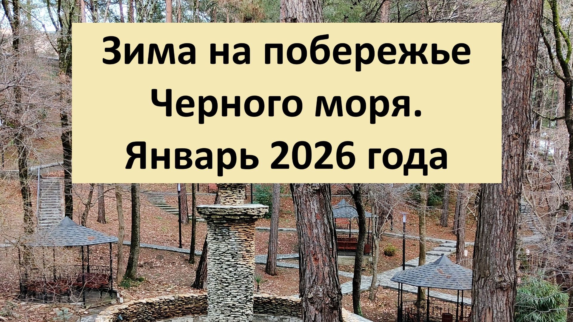 Зима на побережье Черного моря. 26.01.2026 года ! #Зима #Январь #Черное #Море #ЗеленаяДолина