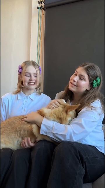 Недавно наши финалисты встретились с Бусей — корги-талисманом конкурса «Профорг года».