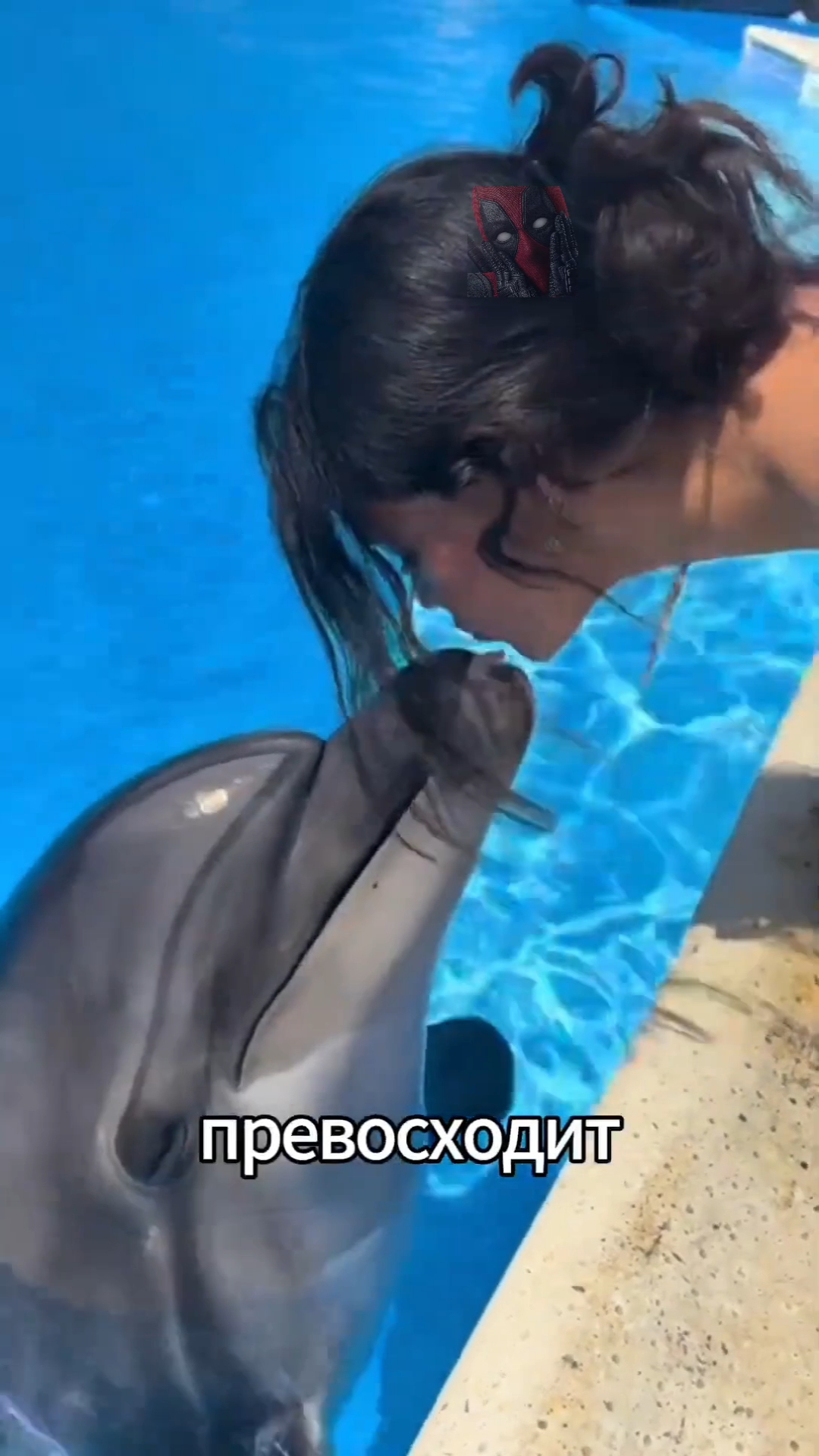 Дельфины — настоящие гении океана 🙀🫶🤔