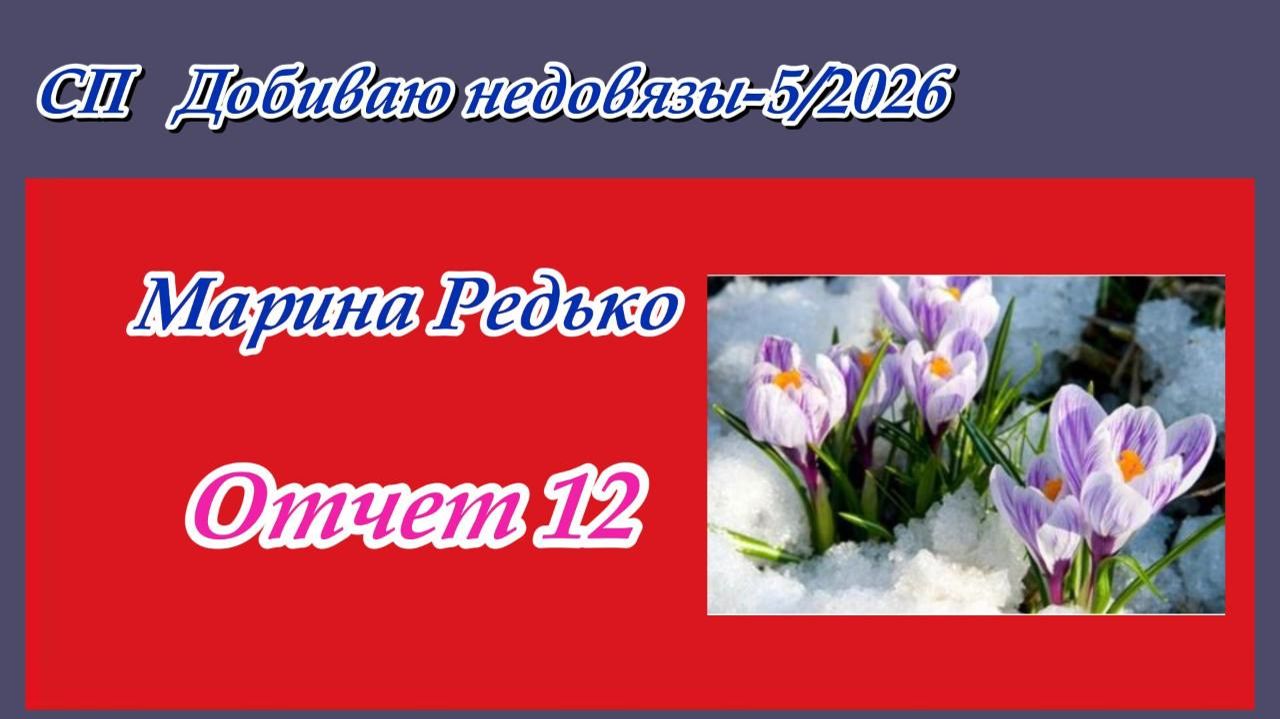 СП "Добиваю недовязы-5/2026" / отчет 12