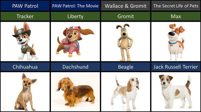 РЕАЛЬНЫЙ ЩЕНЯЧИЙ ПАТРУЛЬ?! СОАБЧКИ ИЗ МУЛЬТИКА ПОДБОРКА РЕАЛЬНЫХ ПРОТОТИПОВ ГЕРОЕВ БЛИН РЕАКЦИЯ